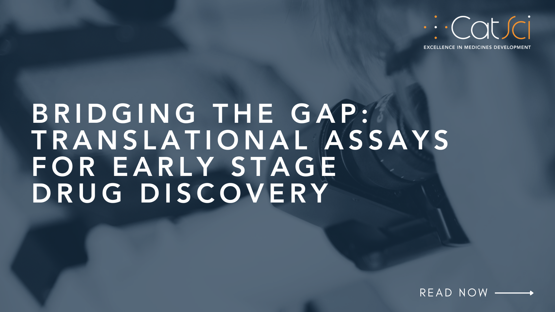 Closing the Translational Gap in Early Stage Drug Discovery